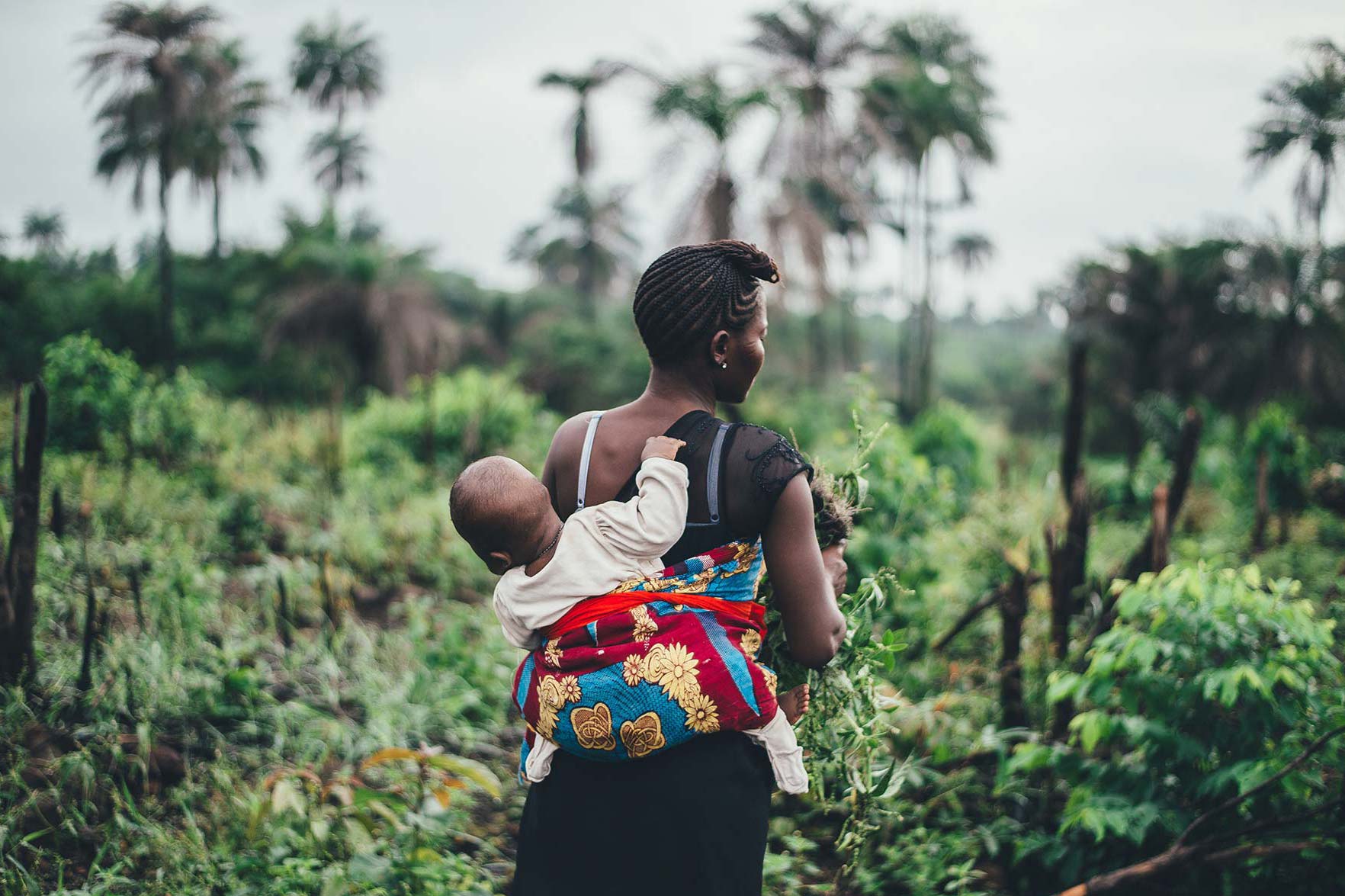 High-resolution population estimates - GRID3