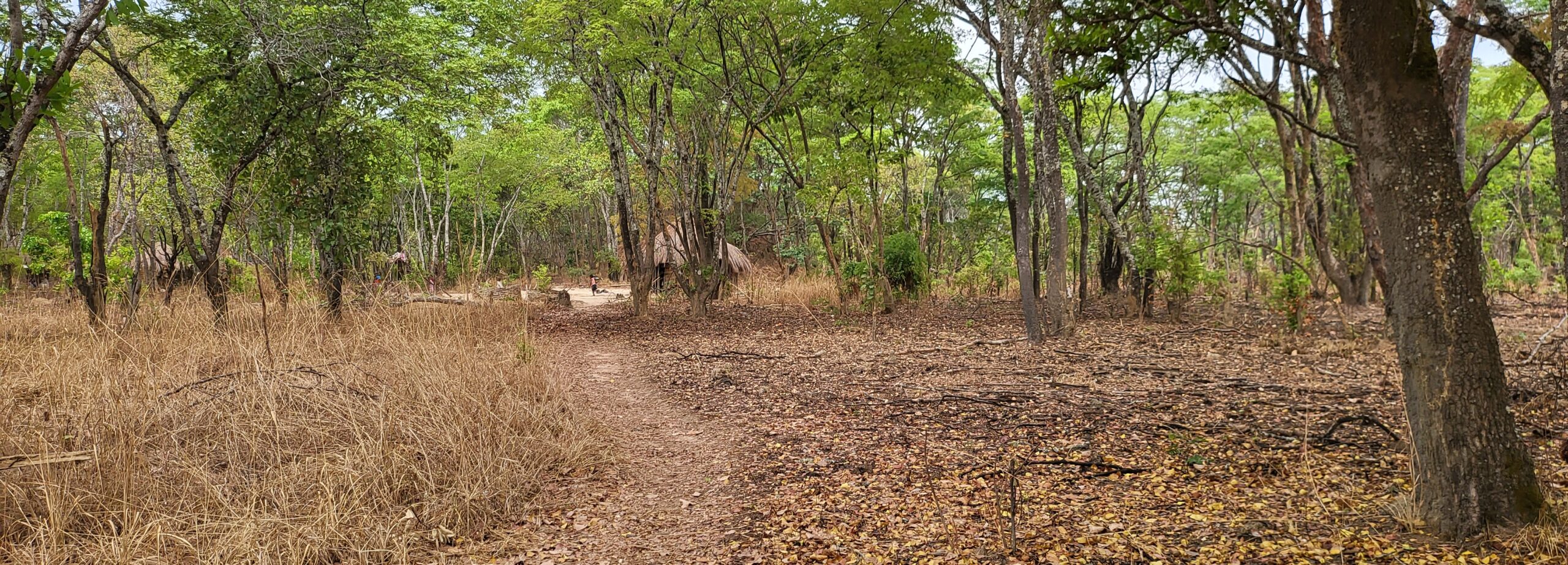 Geospatial data DRC - GRID3